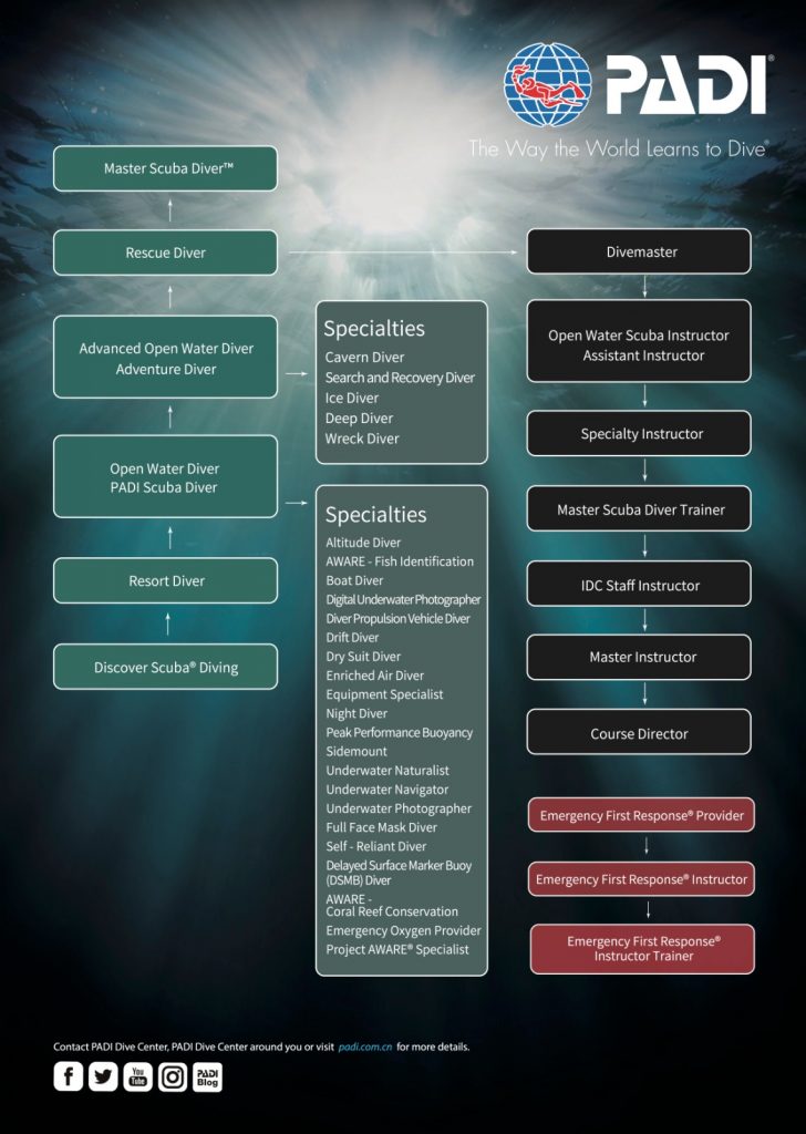 Diving with PADI – 潛水快線